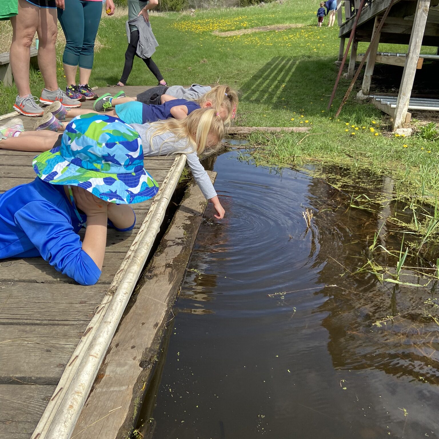Day Camps - Ney Nature Center