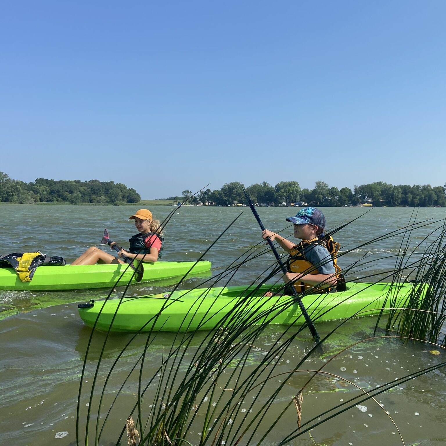 Day Camps - Ney Nature Center