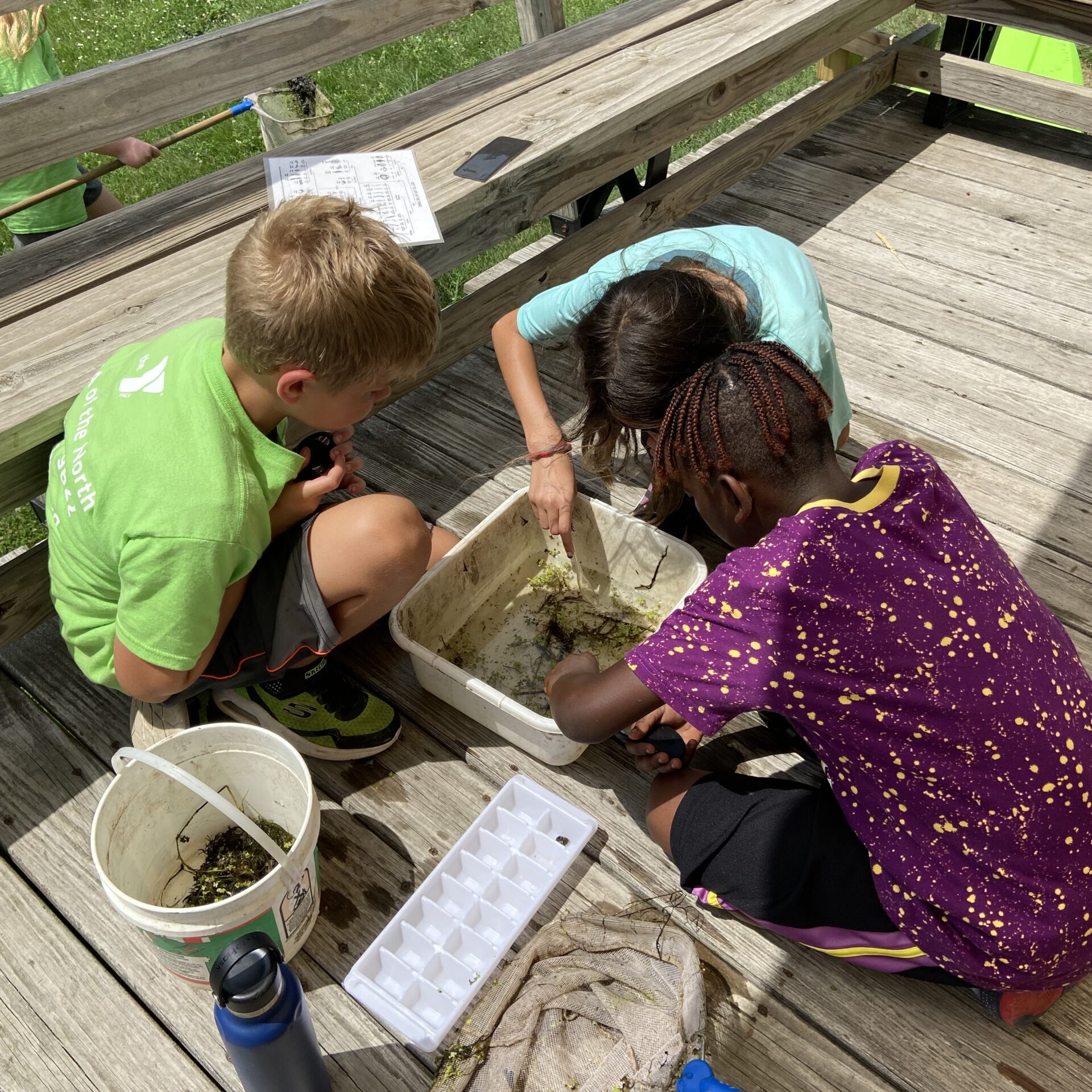 Day Camps - Ney Nature Center