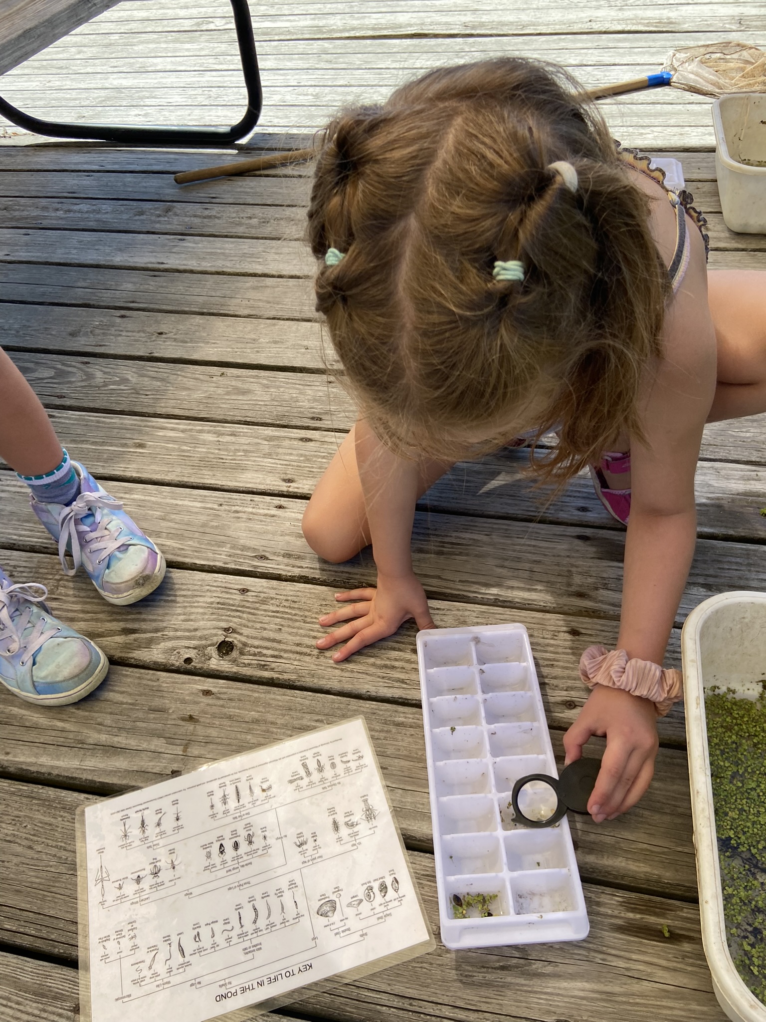 Un-Frog-getable: 30 Years Since the Deformed Frogs - Ney Nature Center