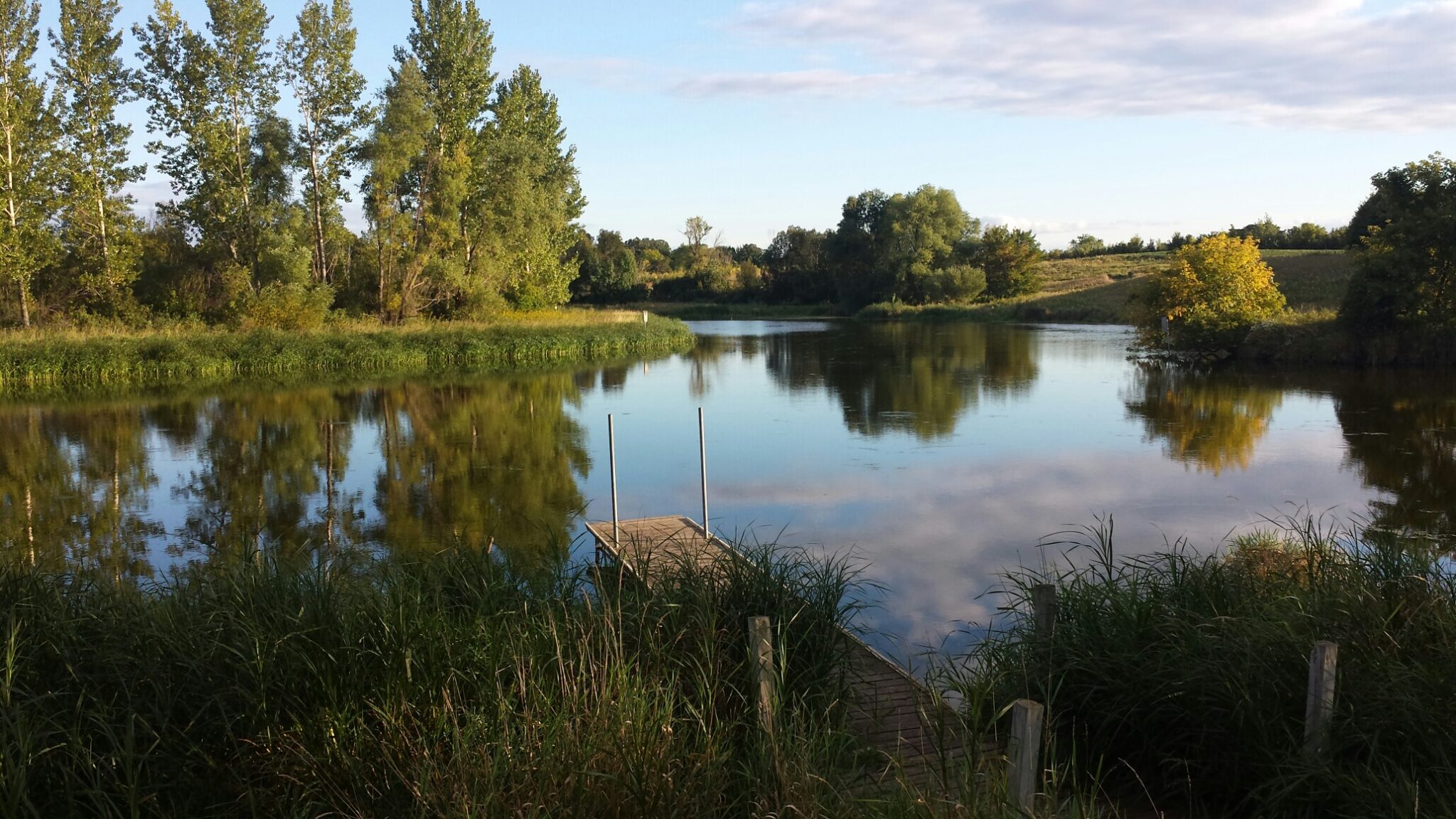 Un-Frog-getable: 30 Years Since the Deformed Frogs - Ney Nature Center